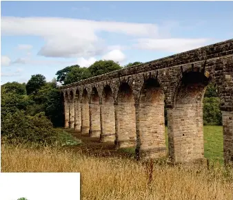 THE TRANSLINK STRUCTURES AWARD: WESTFIELD VIADUCT & FORTH VIADUCT ...