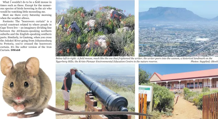 The Tygerberg Nature Reserve - PressReader