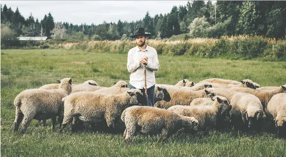 PASSION FOR OLD-TIME MUSIC REKINDLED IN RURAL SOJOURN - PressReader