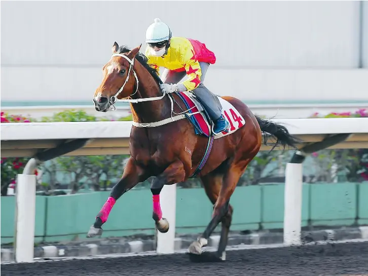 Chadwick relishes Spangle chance - PressReader