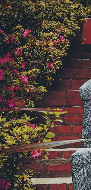 Anything but Idle - PressReader