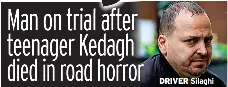 Hit & run accused said car damaged by a deer | Irish Daily Mirror ...