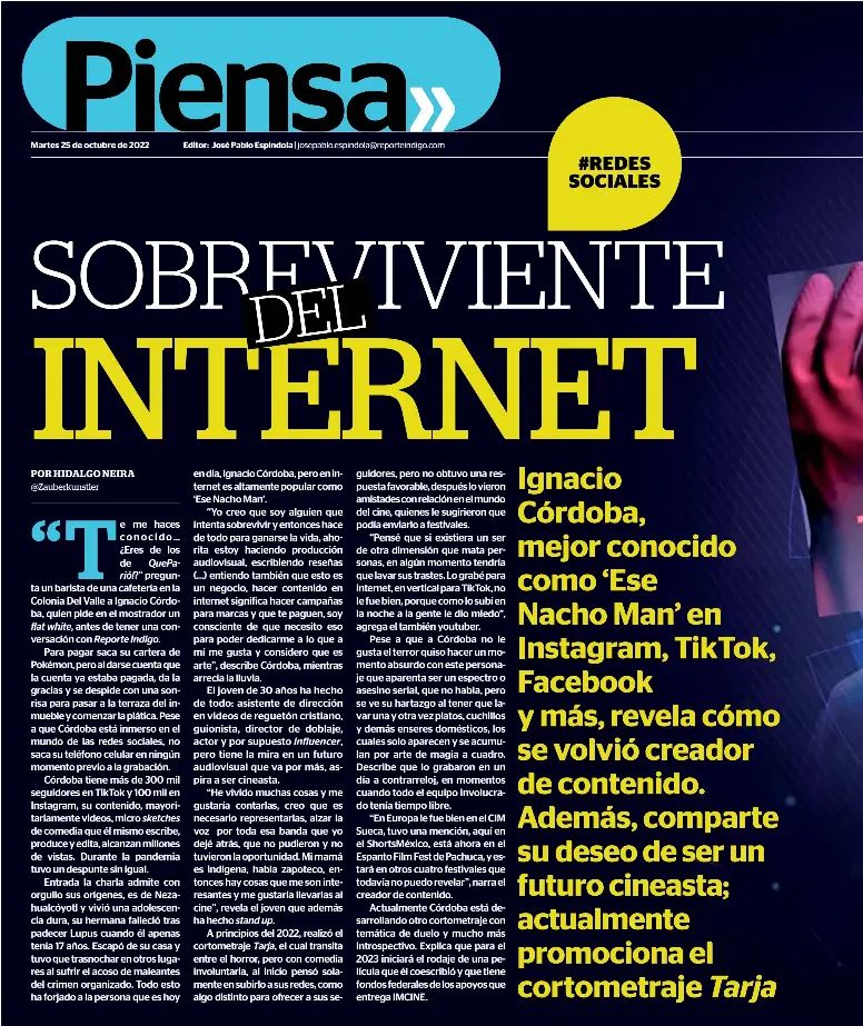 SOBREVIVIE­NTE DEL INTERNET - PressReader