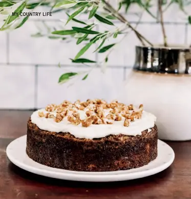 CARROT CAKE V2 - PressReader