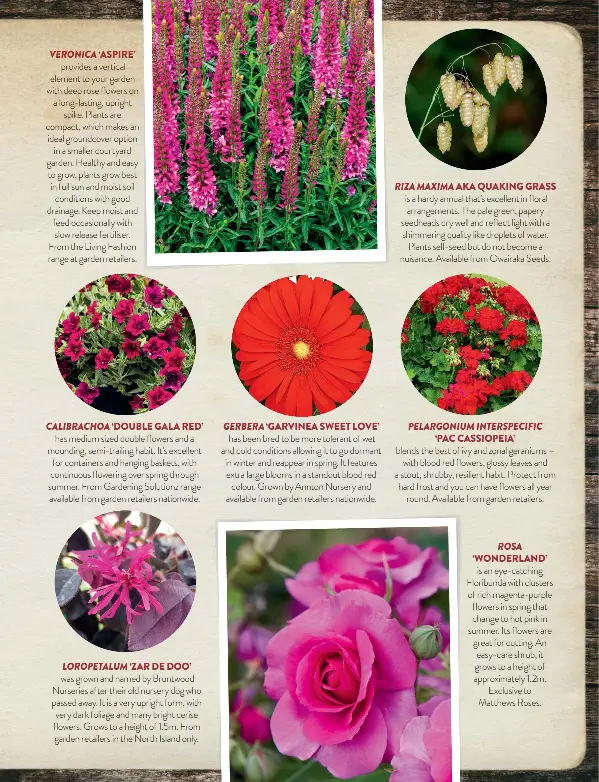 New plants - PressReader