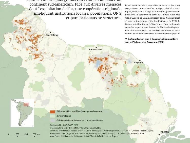 Le plateau des Guyanes, une des dernière forêt tropicale encore intact de la planète sous la ...