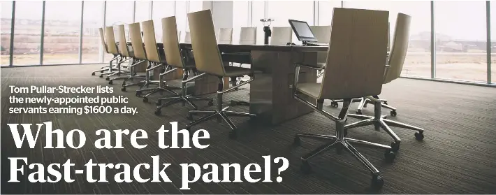 Who are the Fast-track panel? - PressReader