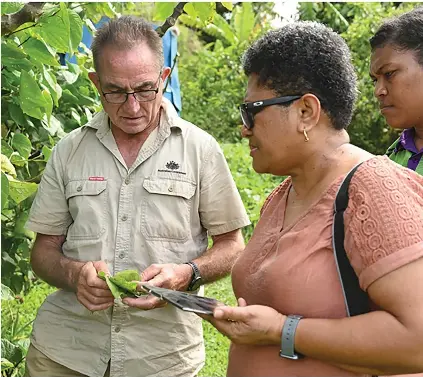 Veivakarar­amataki e na Mate ni Yaqona - PressReader