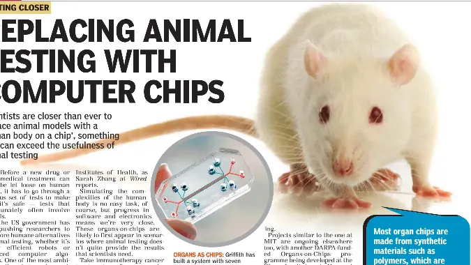 REPLACING ANIMAL TESTING WITH COMPUTER CHIPS - PressReader