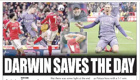 DARWIN SAVES THE DAY - PressReader