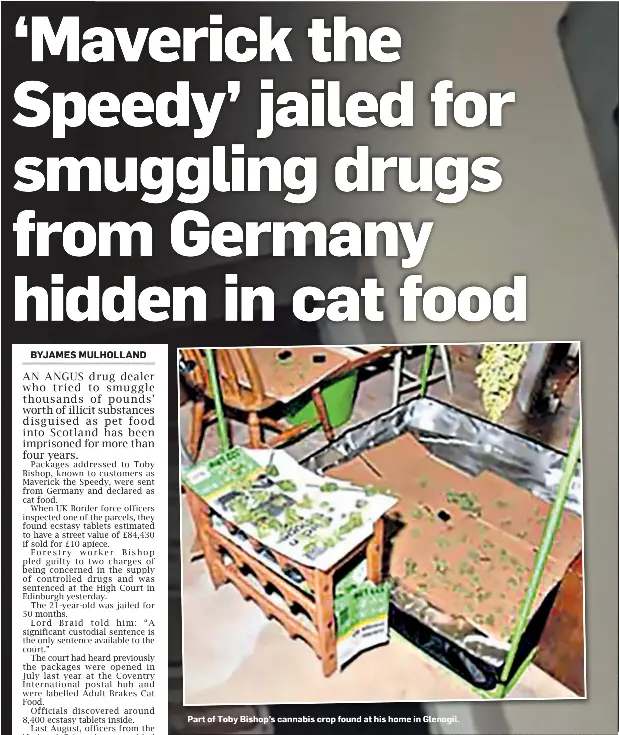 ‘Maverick the Speedy’ jailed for smuggling drugs from Germany hidden in ...