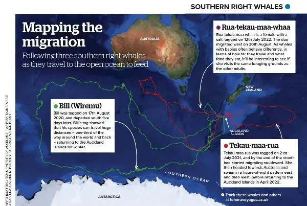 Mapping the migration - PressReader