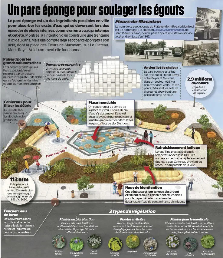 Un parc éponge pour soulager les égouts - PressReader