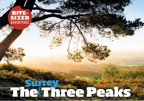 The Surrey 3 Peaks - PressReader