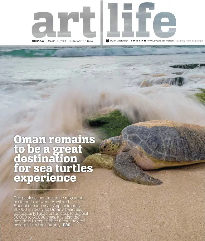 Oman remains to be a great destinatio­n for sea turtles experience ...