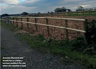 ‘Our woodchip paddocks give us flexibilit­y’ - PressReader