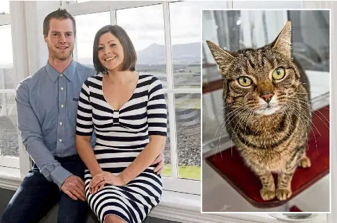 Cattery approved despite pong fears in built-up setting - PressReader