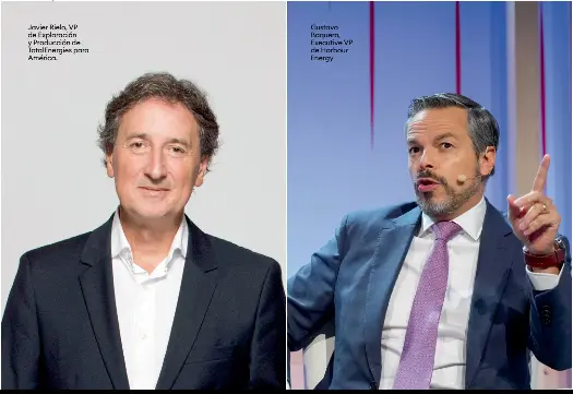 LOS PLANES DE TOTAL Y HARBOUR PARA CRECER EN EL PAÍS - PressReader