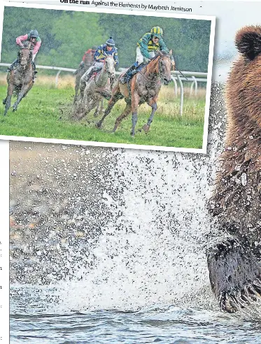 Talented snappers show off picture perfect photos - PressReader