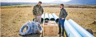 Agrico: your turnkey irrigation solution - PressReader