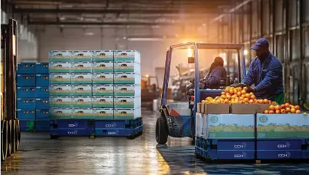 Your pick of fruit cold storage solutions - PressReader