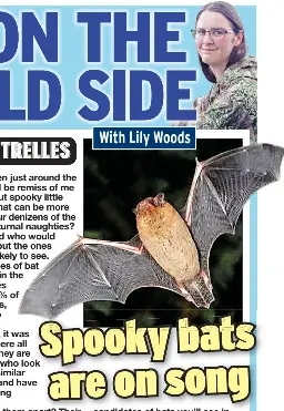 ON THE WILD SIDE - PressReader