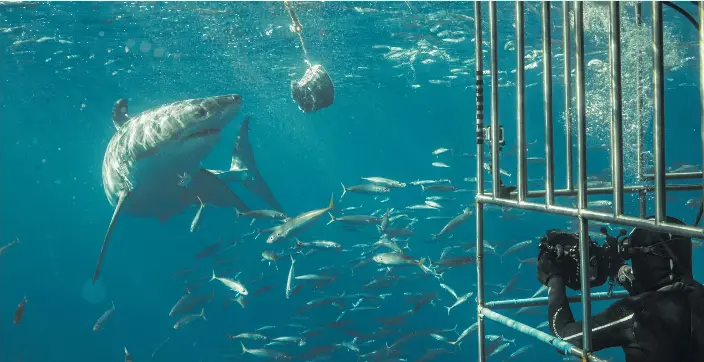 OUR BURNING PLANET - PressReader