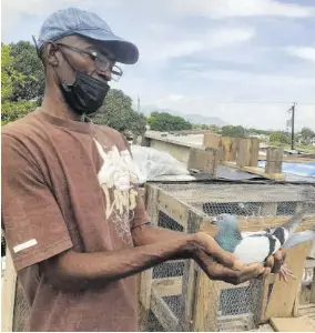 ‘RACING PIGEONS SAVED MY LIFE!’ - PressReader