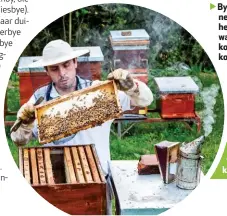 Heuningbye verrig ’n belangrike taak - PressReader