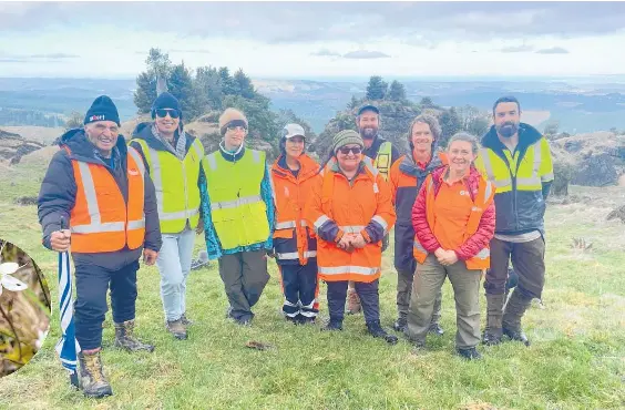 Work to save native forget-me-not - PressReader