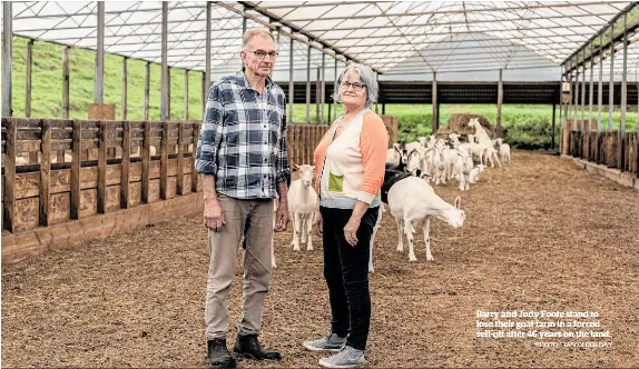 Milked dry: Dairy goat farmers’ ‘beautiful dream’ sours - PressReader