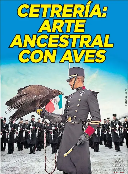 CETRERÍA: ARTE ANCESTRAL CON AVES - PressReader
