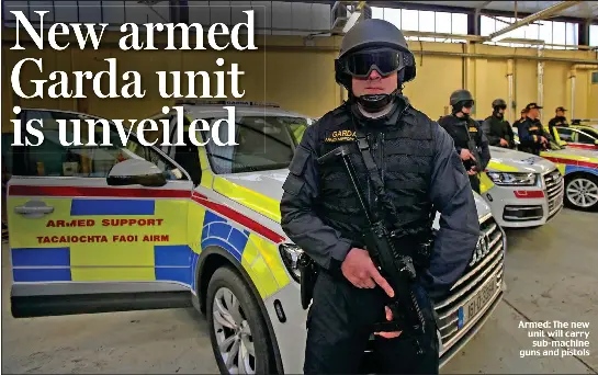 New armed Garda unit is unveiled - PressReader