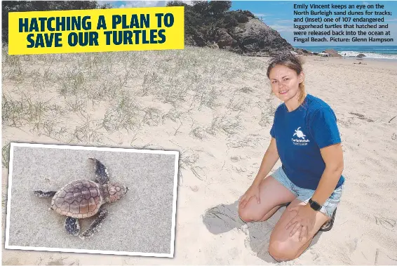 HATCHING A PLAN TO SAVE OUR TURTLES - PressReader