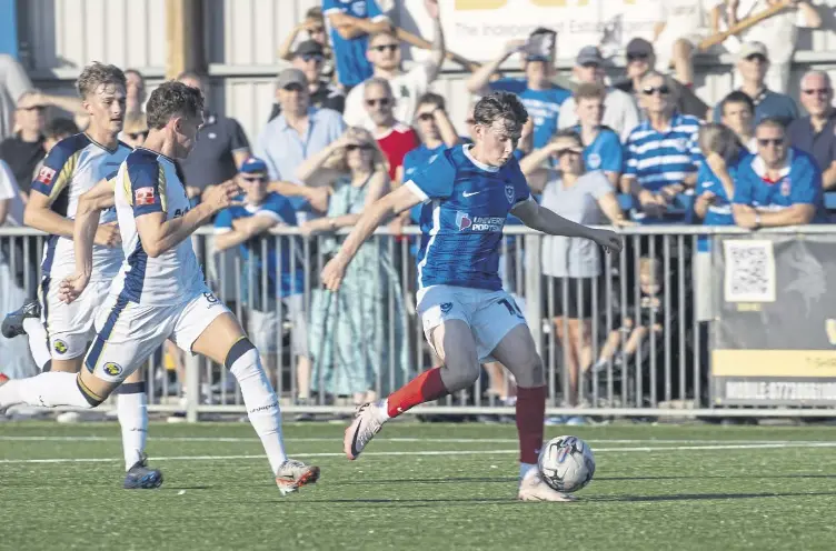 ‘Eye-catching’, ‘simply outrageous’, ‘raw talent’, ‘direct and ...