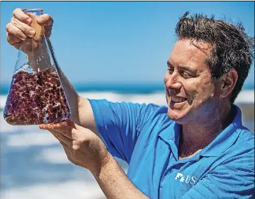 Scientists unlock seaweed DNA - PressReader