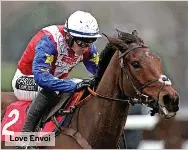 Fry’s Love Envoi could take on Constituti­onal Hill - PressReader