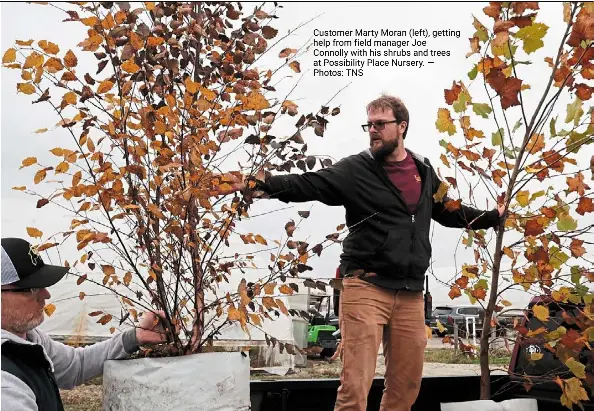 A connection with nature - PressReader