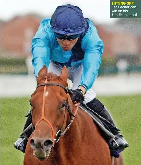 JET PACKER SET TO SOAR OVER NURSERY RIVALS - PressReader