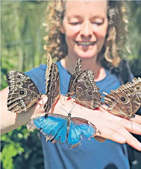 You can still find the quieter side of Costa Rica - PressReader