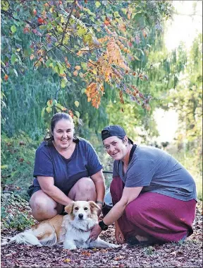 Rescue at Sandy Creek Falls - PressReader