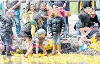 Time to spring into fling in CHB - PressReader