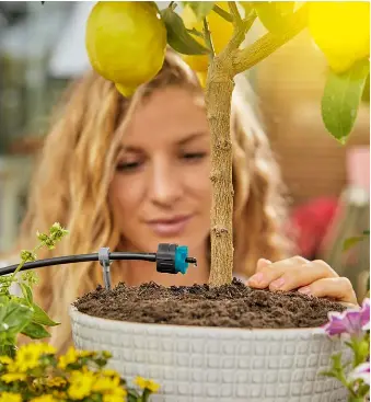 DON’T WASTE A SINGLE DROP - PressReader