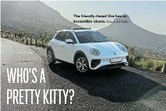 WHO’ SA PRETTY KITTY? - PressReader