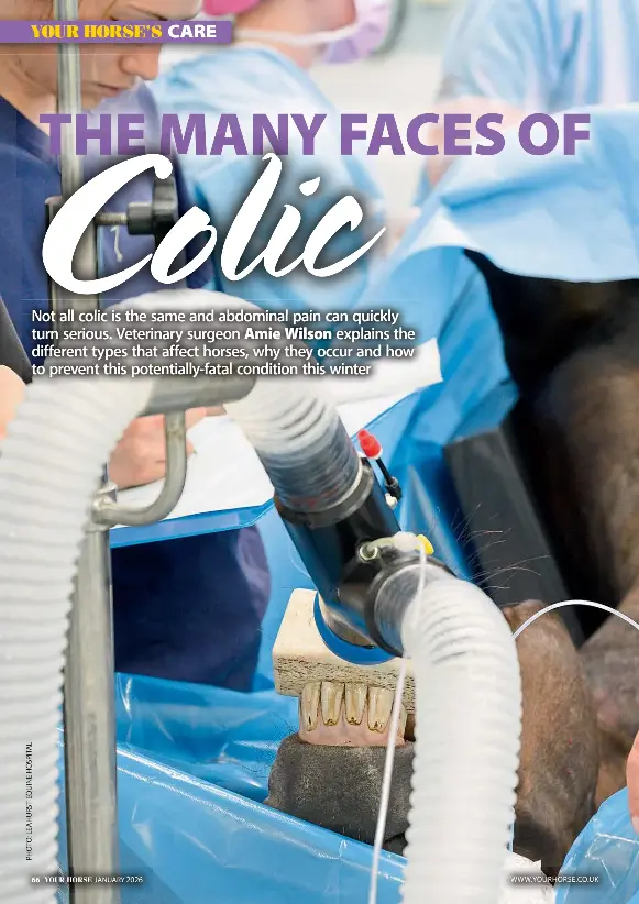 Spot the difference A veterinary surgeon explains why not all colic is ...