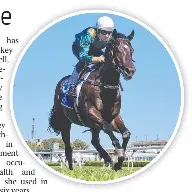 Bargain buy in high life again - PressReader