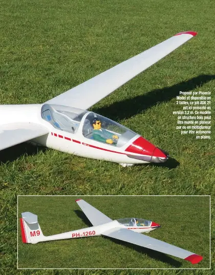 ASK 21 DE PHOENIX MODEL - PressReader