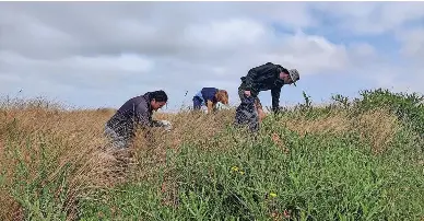 Help us to fight off the INVADERS - PressReader