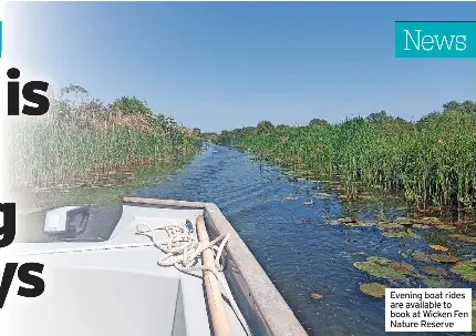 Wicken Fen is making the most of long summer days - PressReader