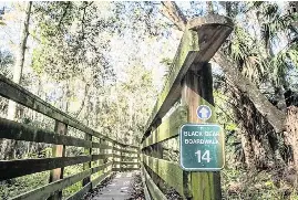 Florida black-bear hunt exposes emotional divisions among animal-rights ...